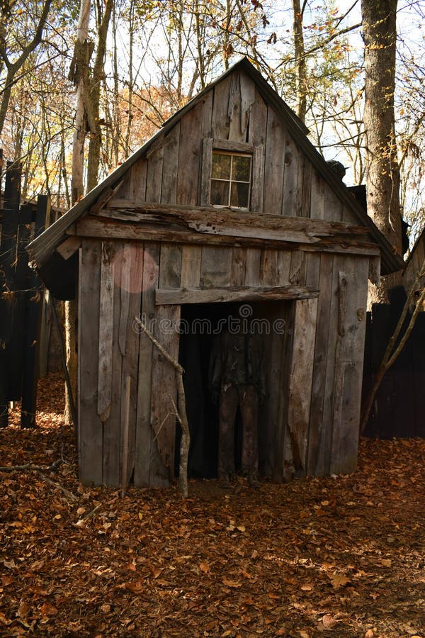 Rustic Shack stock photo. Image of leaves, home, bare - 326994286