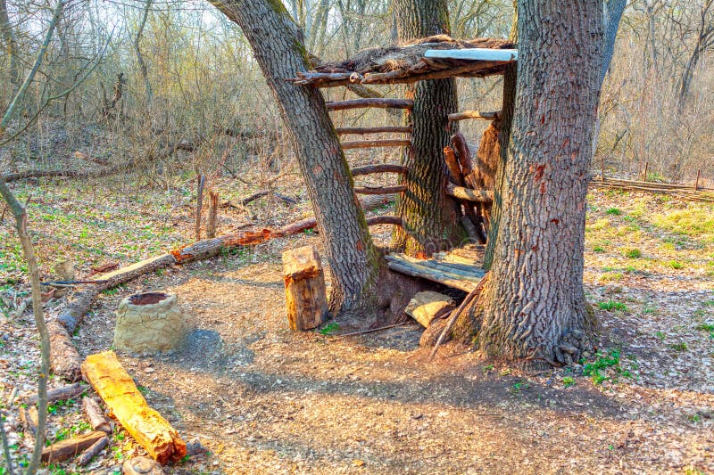 Rustic Shelter in the Forest Stock Image - Image of firepit, shelter ...