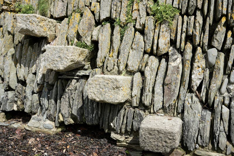 Rustic Solid Stone Steps Going Up a Rough Built Stone Wall with Lichen and Grass Growing. Stock ...