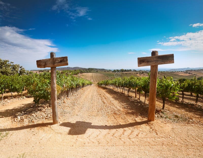 A Rustic Spanish Vineyard Entrance with a Weathered Wooden Signpost and ...