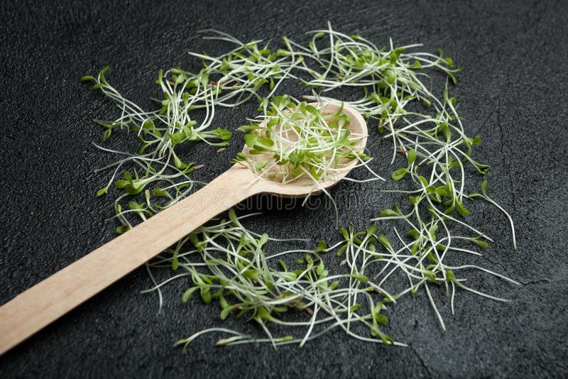 Rustic Spoon with Micro Greens on a Black Background Stock Photo ...