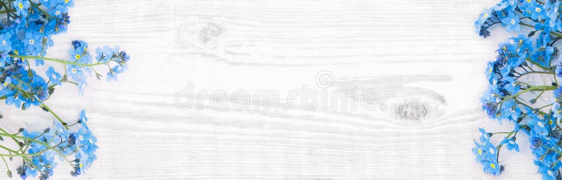 Forget-me-not Flowers in a Shape of a Heart Stock Image - Image of ...