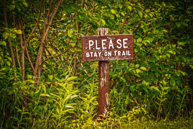 Rustic Stay on Trail Sign with Small Trees and Weeds and Bushes in ...