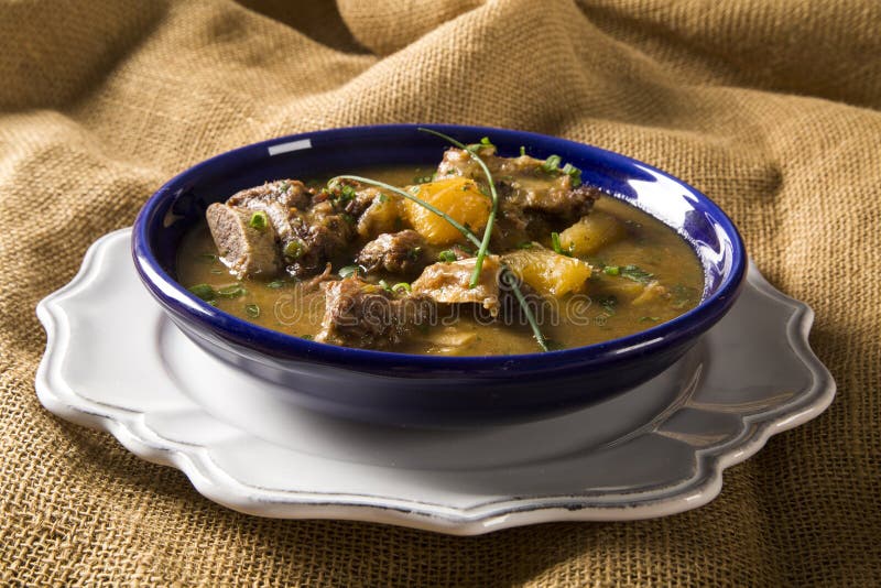 Rustic Stew Meat with Manioc Called Vaca Atolada in Brazil. Stock Image ...