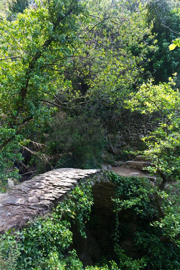 Rustic Stone Bridge Over a Stream in Cinque Terre, Italy Stock Photo ...