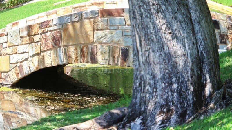 Rustic Bridge Surrounded Lush Greenery Tranquil Park Setting Stock ...
