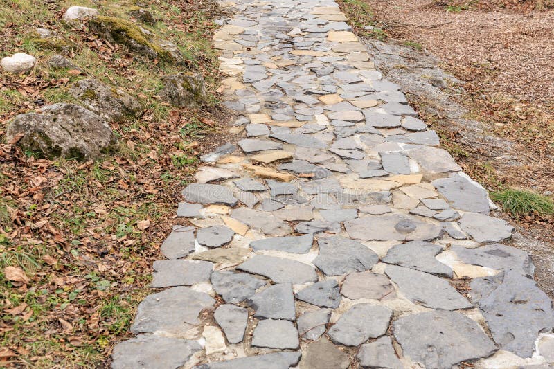 Rustic Stone Pathway through Autumn Landscape with Fallen Leaves Stock ...