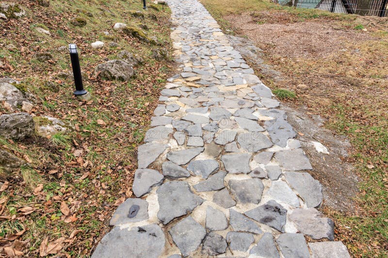 Rustic Stone Pathway Lined with Grass and Fallen Leaves in Natural ...