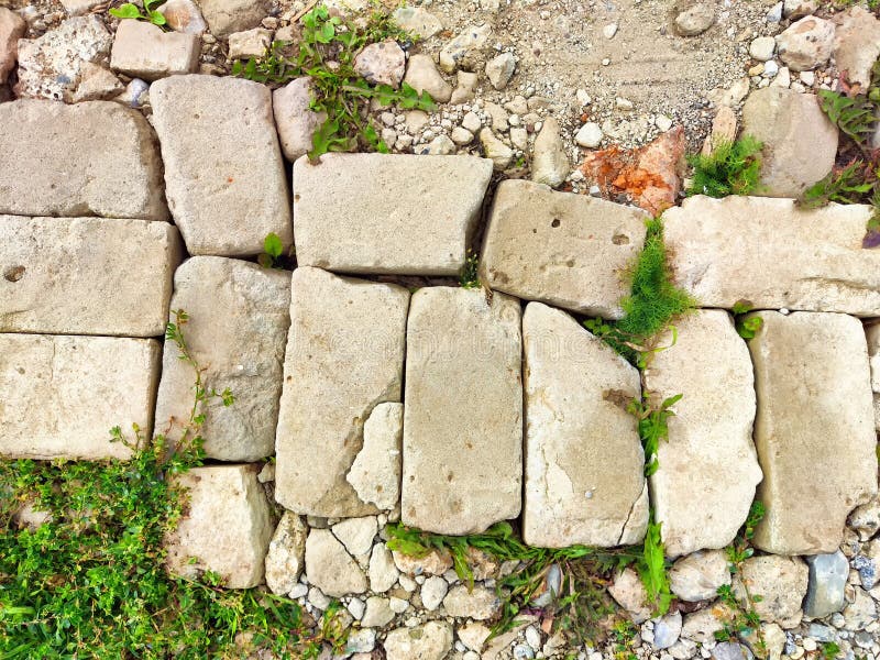 A Rustic Stone Pathway Made of Uneven Blocks Shows Vibrant Green Grass ...