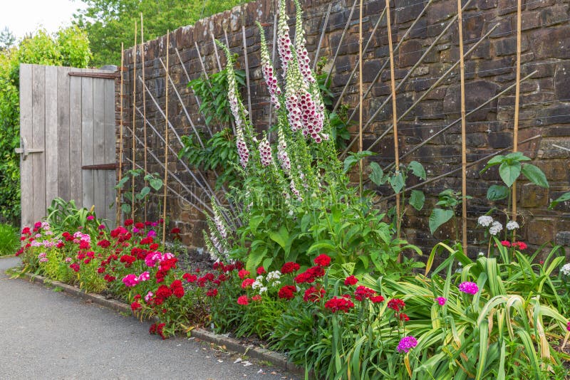 Rustic Stone Wall and Gate with Colourful Planted Border Stock Photo ...