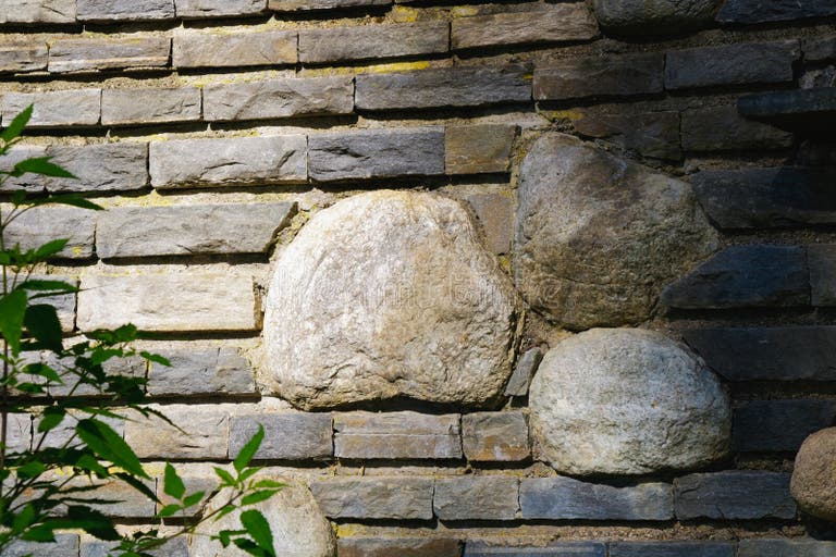 730,918 Pictures Large Natural Stock Photos - Free & Royalty-Free Stock ...