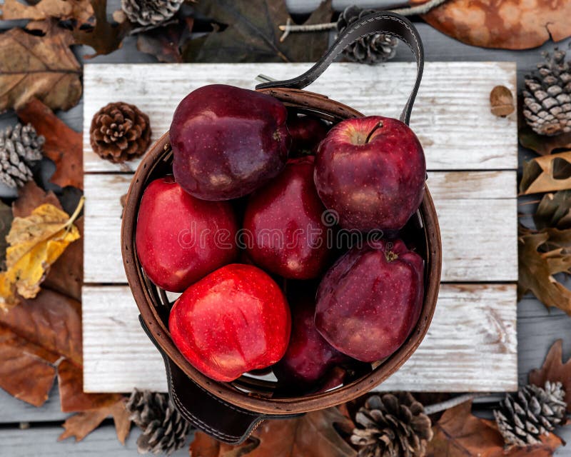 Rustic Style of Red Apples on Autumn Background Setup in a Selective ...