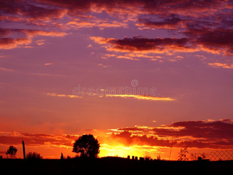 Rustic Sunset in Crimson Tones Stock Photo - Image of sunbeam, maroon ...