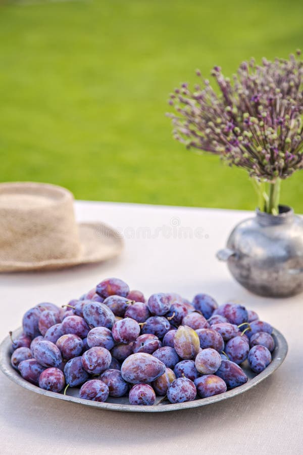 Rustic table setting stock image. Image of life, fruit - 39255541