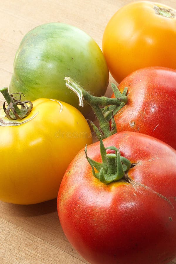 Rustic tomatoes stock photo. Image of harvest, eating - 34403508