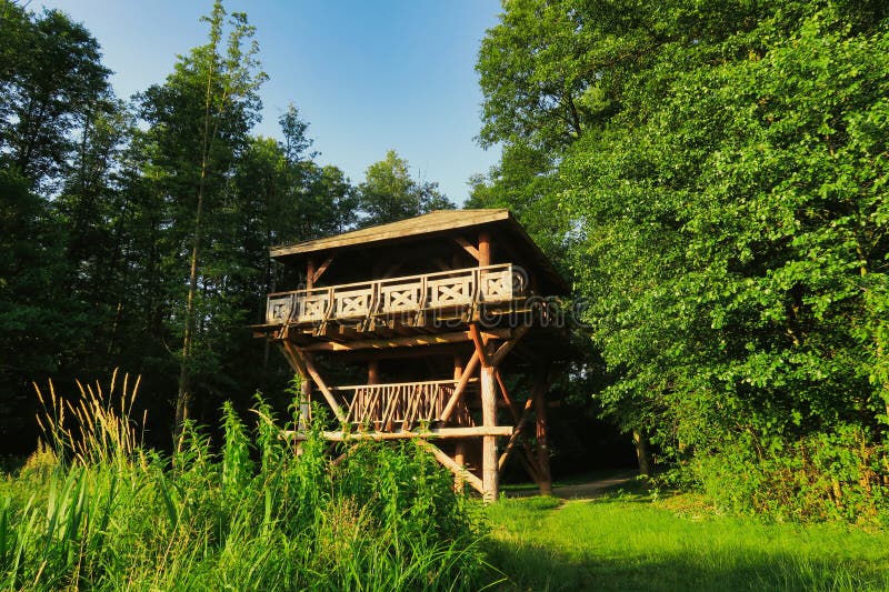 Rustic Treehouse in Lush Forest Stock Image - Image of family ...