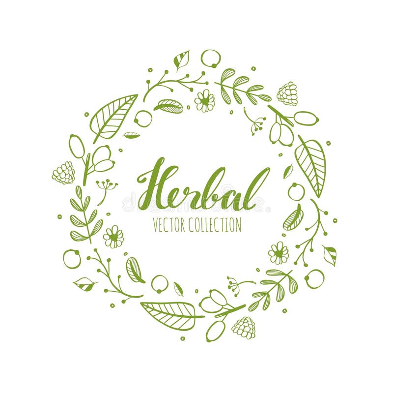 Rustic Vector Decorative Plants and Flowers Wreath 4 Stock Vector ...