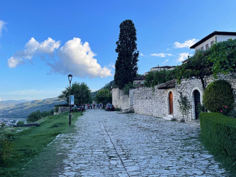 Stone Pathway Leading To a Building Surrounded by Trees and Open Lawn ...