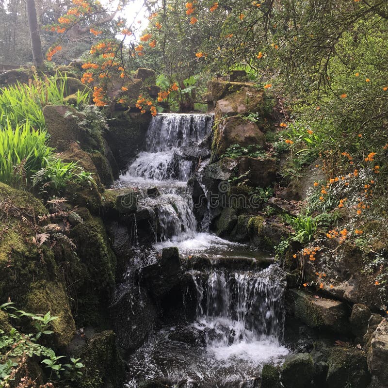 Rustic Waterfall in Cityside Park Stock Image - Image of rustic, flower ...
