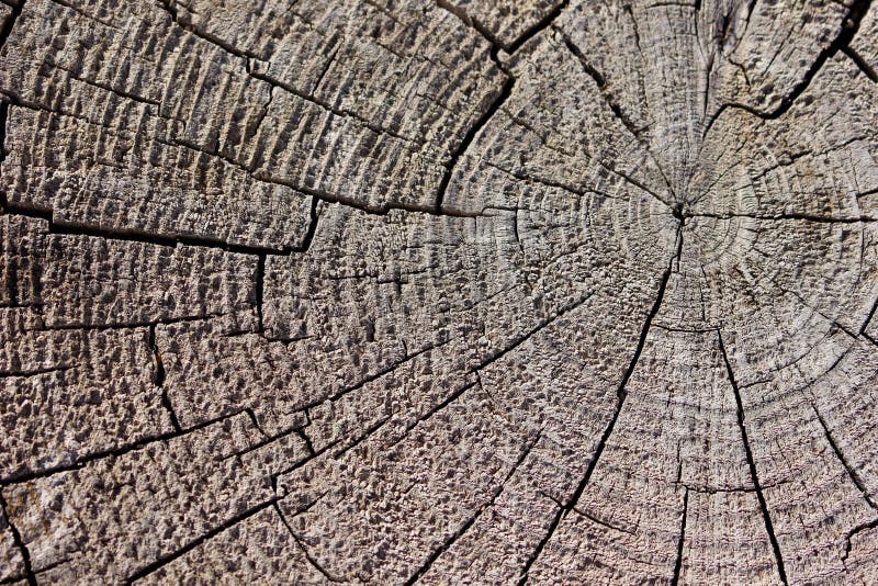 Weathered Wood Grain Texture Background. Stock Image - Image of natural ...