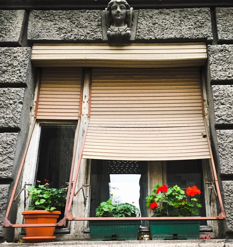 Rustic Window with Half Lifted Shutters Stock Photo - Image of flowers ...