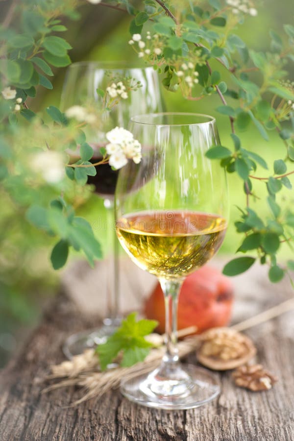 Rustic wine stock image. Image of marketing, vineyard - 25317819