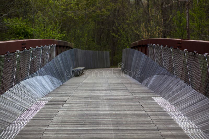 Rustic wood boards stock photo. Image of abstract, rustic - 256109110