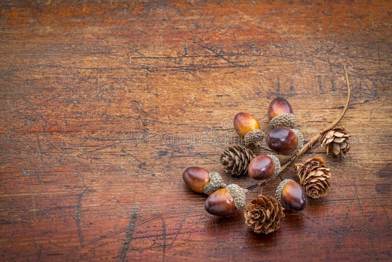 Fall Decoration with Fruits and Text Vielen Dank Stock Photo - Image of ...