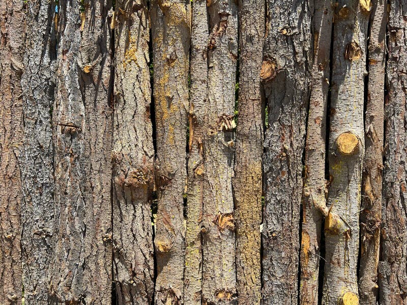Rustic Wood Log Fence Handmade Texture Stock Image - Image of timber ...