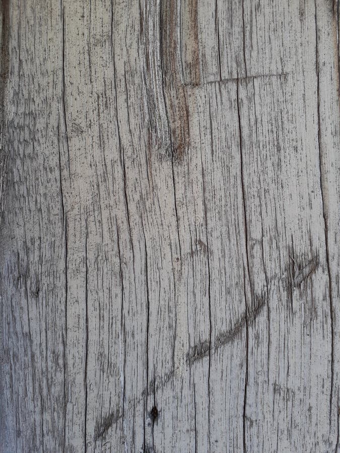Rustic Wood Panel Texture stock photo. Image of panel - 159723804