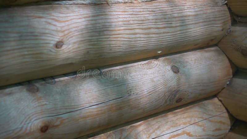 Rustic Wooden Balk Wall Background Stock Video - Video of forest ...
