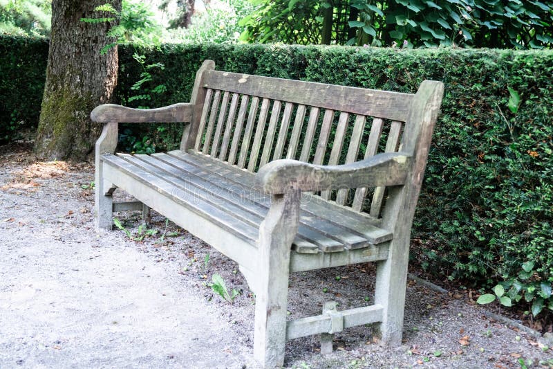 Rustic Wooden Bench in Serene Garden Setting with Greenery and Tree ...