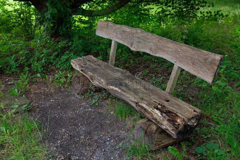 Rustic Wooden Bench Under Tree Stock Photo - Image of path, spring ...