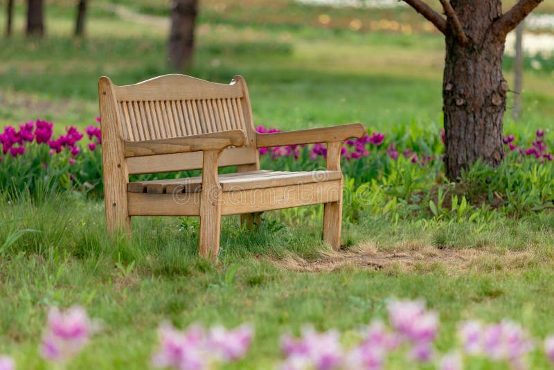 Rustic Wooden Benches in Flowering Spring Garden Stock Image - Image of ...