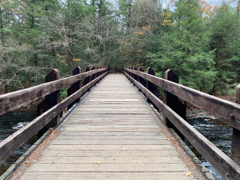 Rustic Wooden Bridge stock photo. Image of trees, rustic - 210045326