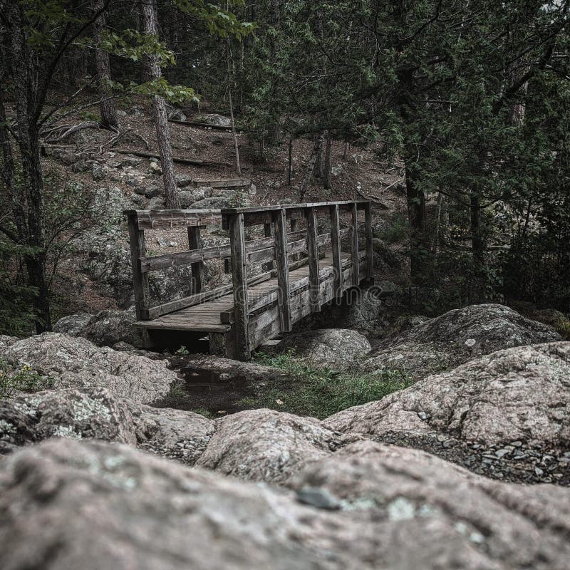 Rustic Wooden Bridge in a Forested Area Surrounded by Rocks and Trees ...
