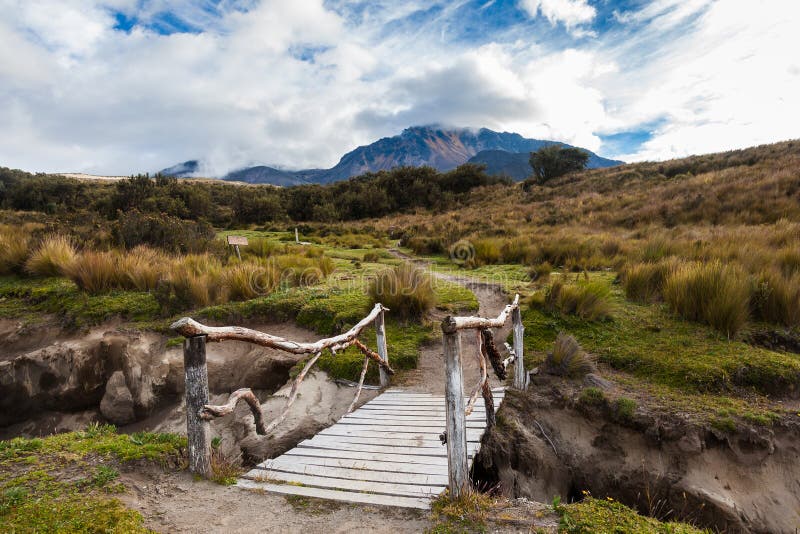 Rustic Wooden Bridge on a Mountain Trail Stock Image - Image of ecuador ...