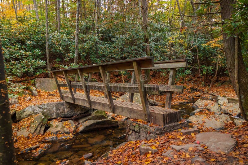 Rustic Wooden Bridge Situated in a Tranquil Forest Landscape Stock ...