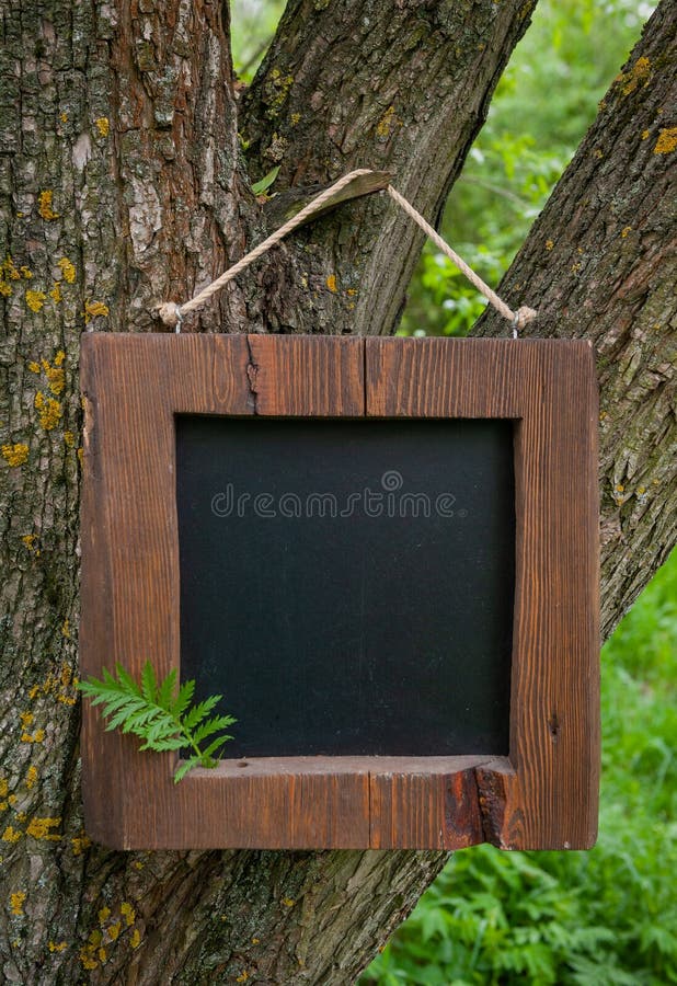 Rustic Wooden Empty Chalkboard Hangs on Tree Stock Illustration ...