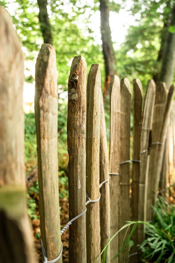 Rustic Wooden Fence in a Forest Clearing with Sunlight Filtering ...