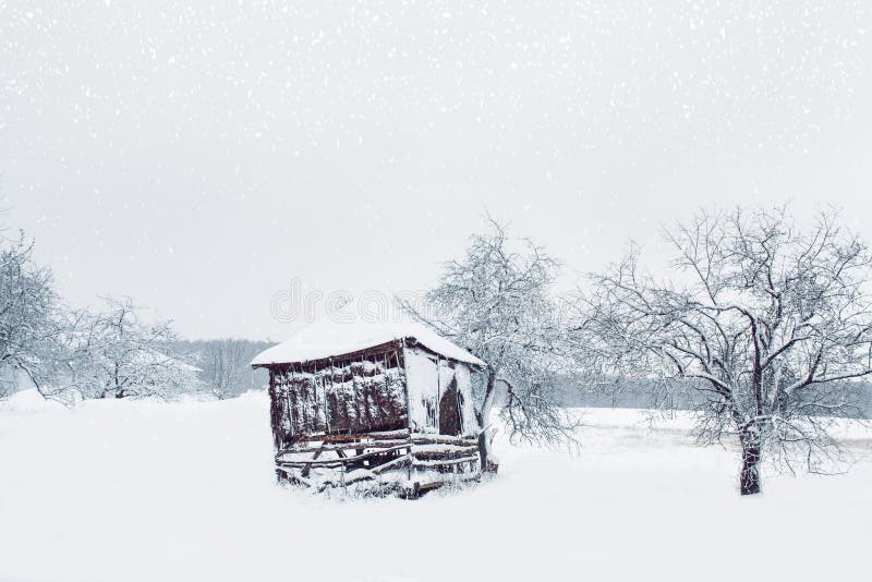 Rustic Wooden House in the Snow Covered Forest Stock Photo - Image of ...