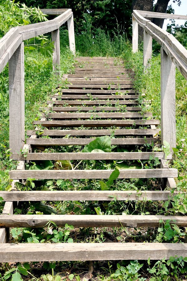 Rustic wooden ladder stock photo. Image of nature, road - 22667854