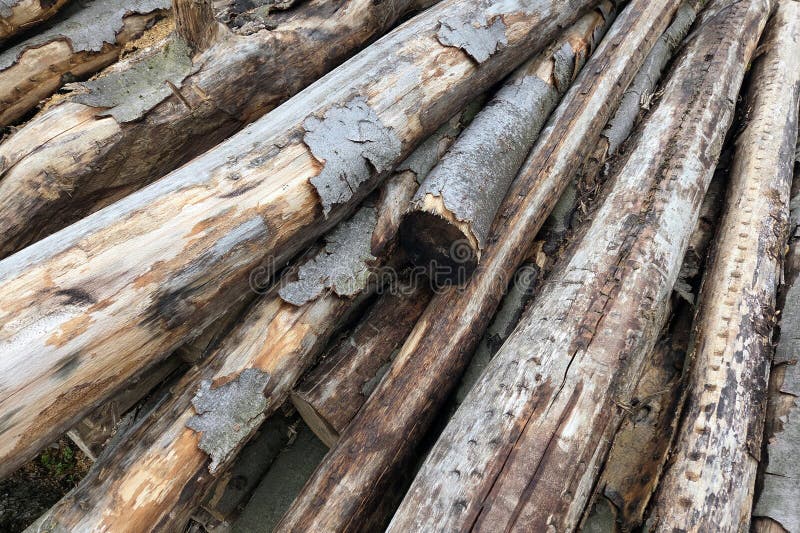Rustic Wooden Logs Natural Texture Creative Design Nature Projects ...