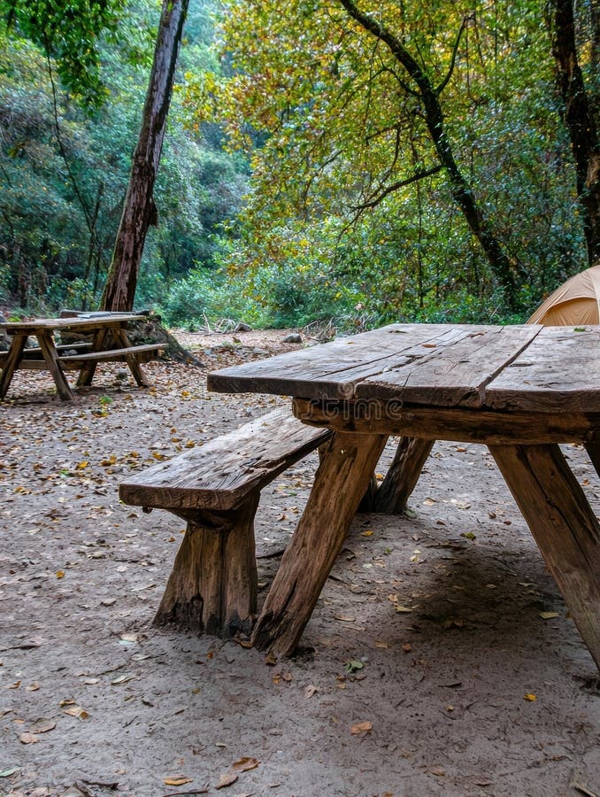 Rustic Wooden Picnic Tables in a Forest Setting. Stock Illustration ...