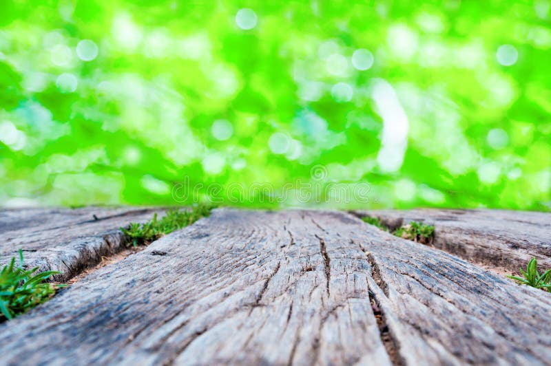 Rustic Wooden Planks with Green Foliage Stock Photo - Image of bokeh ...