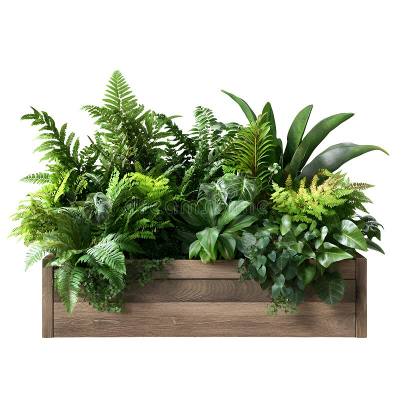 Rustic Wooden Planter Box with Lush Green Plants on Transparent ...