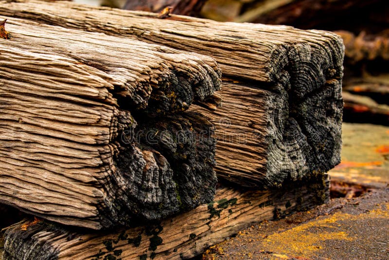 279 Rustic Old Wooden Fence Posts Stock Photos - Free & Royalty-Free ...