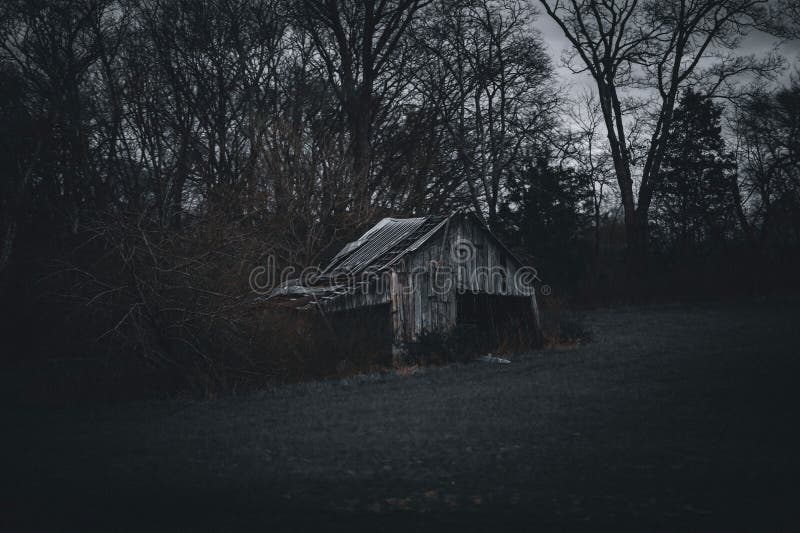 Rustic, Wooden Shed in a Grassy Field on a Dark Evening Stock Photo ...