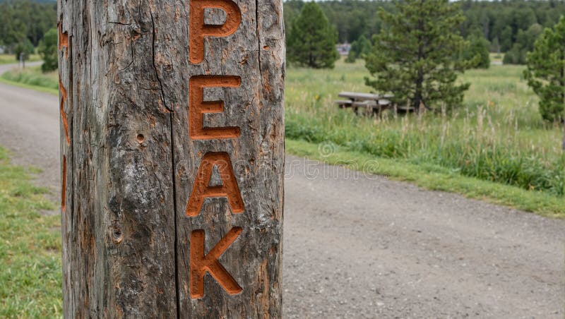 Rustic Wooden Signpost with Peak in Bold Burnt Orange Letters Stock ...