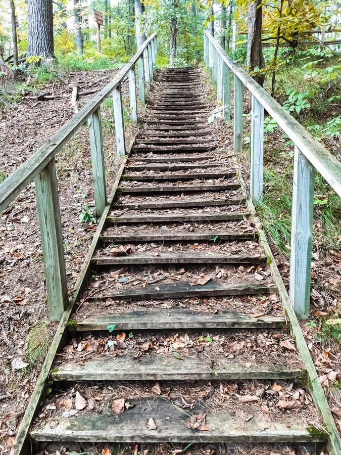 Rustic Wooden Staircase on a Hiking Trail Stock Image - Image of ...